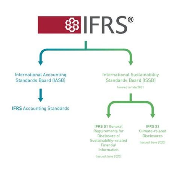 How are IFRS standards set - The Daily Insight